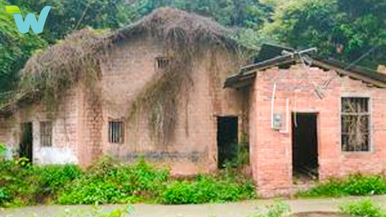 The poor boy renovated an old house with the abandoned fish pond in the ...