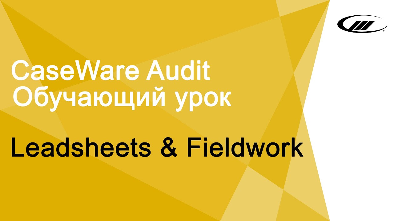 Обучающий урок Leadsheets & Fieldwork | CaseWare Ukraine - YouTube