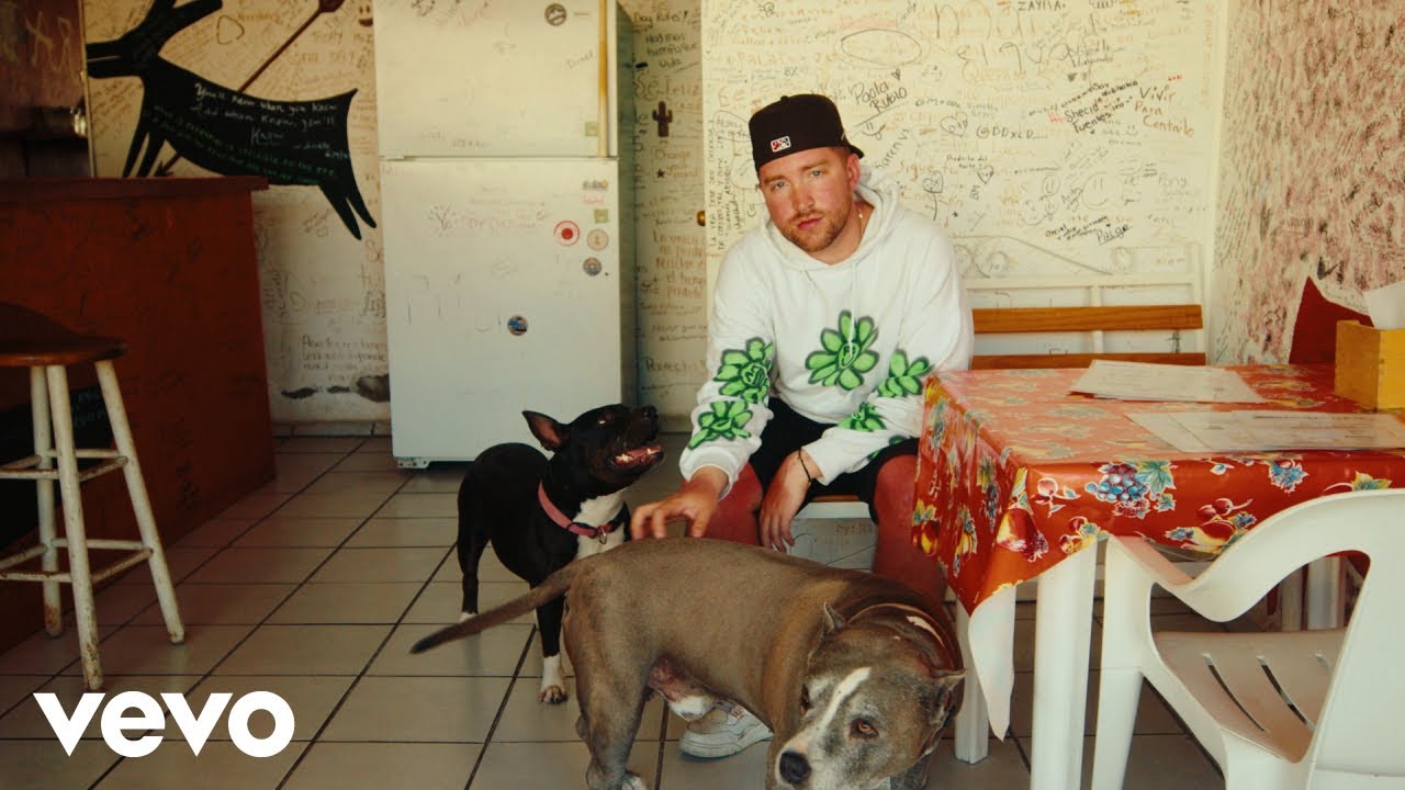 Kid Quill - Photosynthesis (Feat. Caye) (Official Video) - YouTube