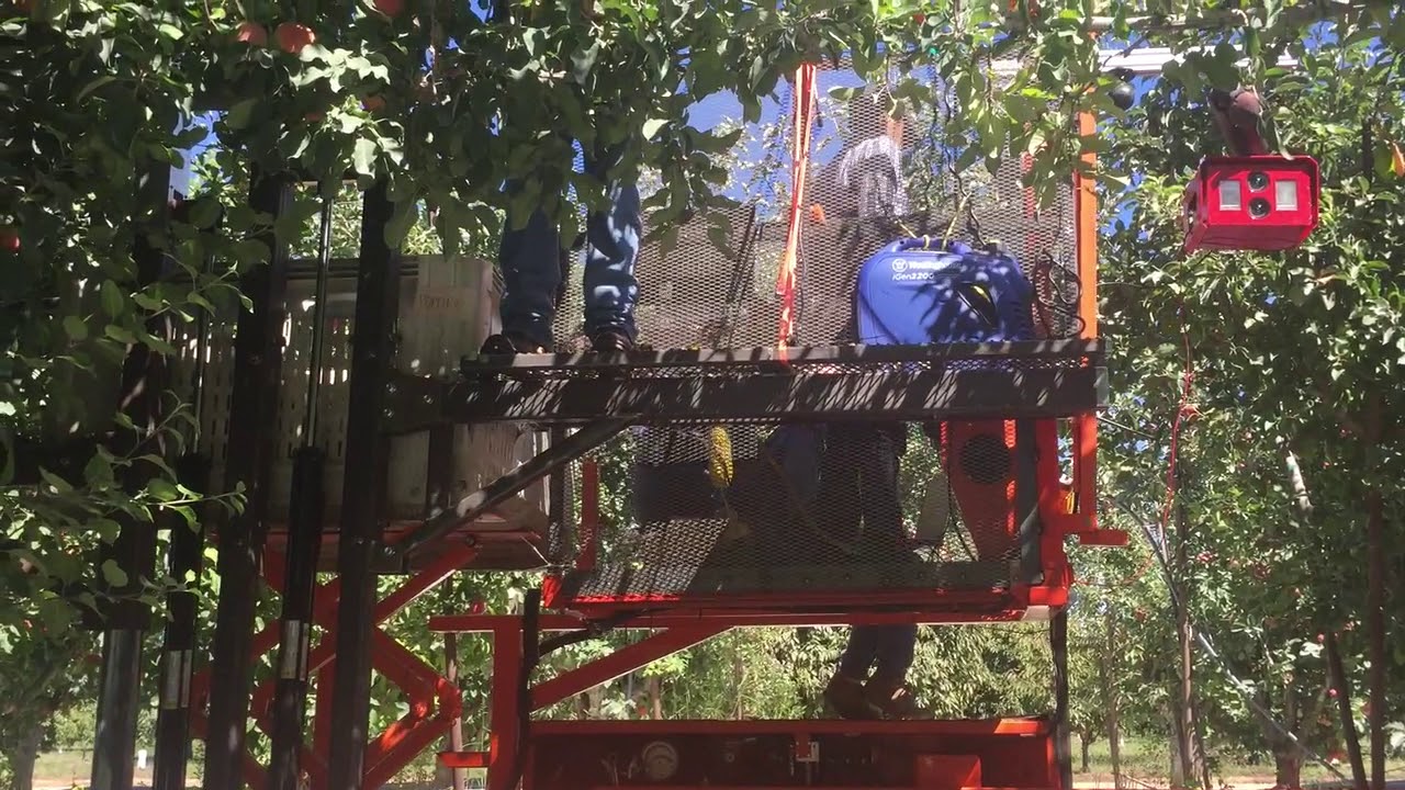 Robotic Orchard Harvester-Platform prototype - YouTube