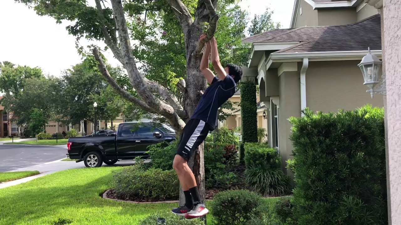 G MAN J s Workouts Pull ups On A Tree s Branch YouTube g-man-j-s-workouts-pull-ups-on-a-tree-s-branch-youtube