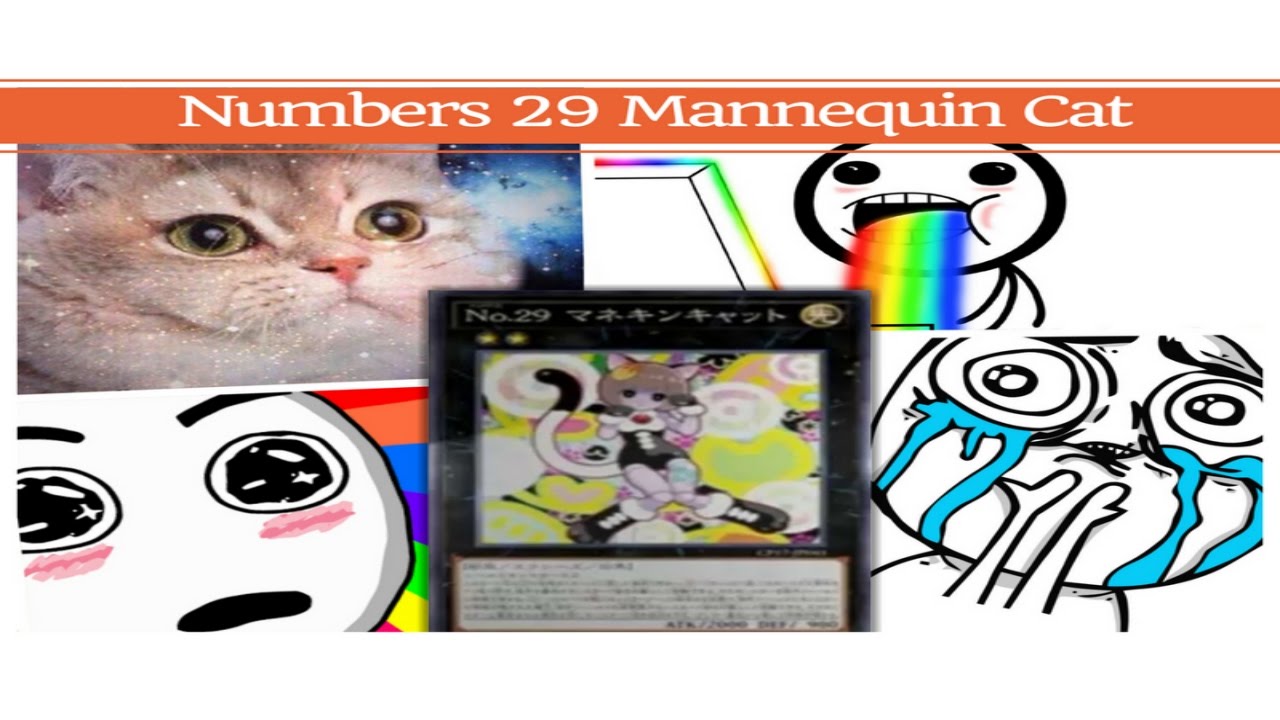 YUGIOH! *NEW* Number 29: Mannequin Cat! - YouTube