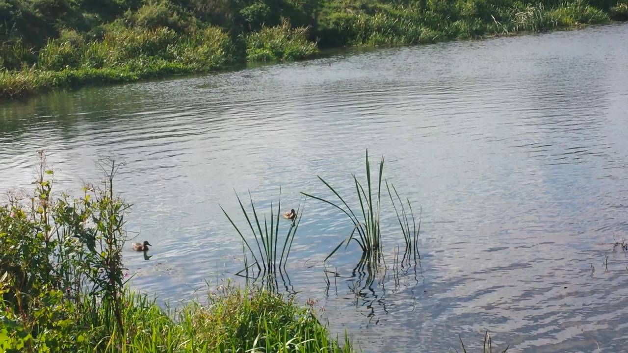 The Riddy - Sandy, Bedfordshire 3 (2016) - YouTube