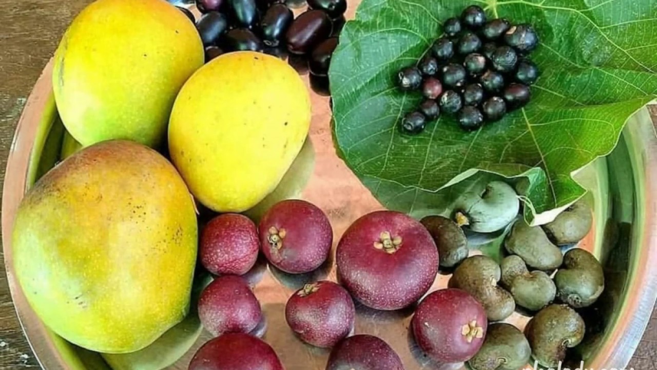 Goa's amazing forest fruits unseen ever - YouTube