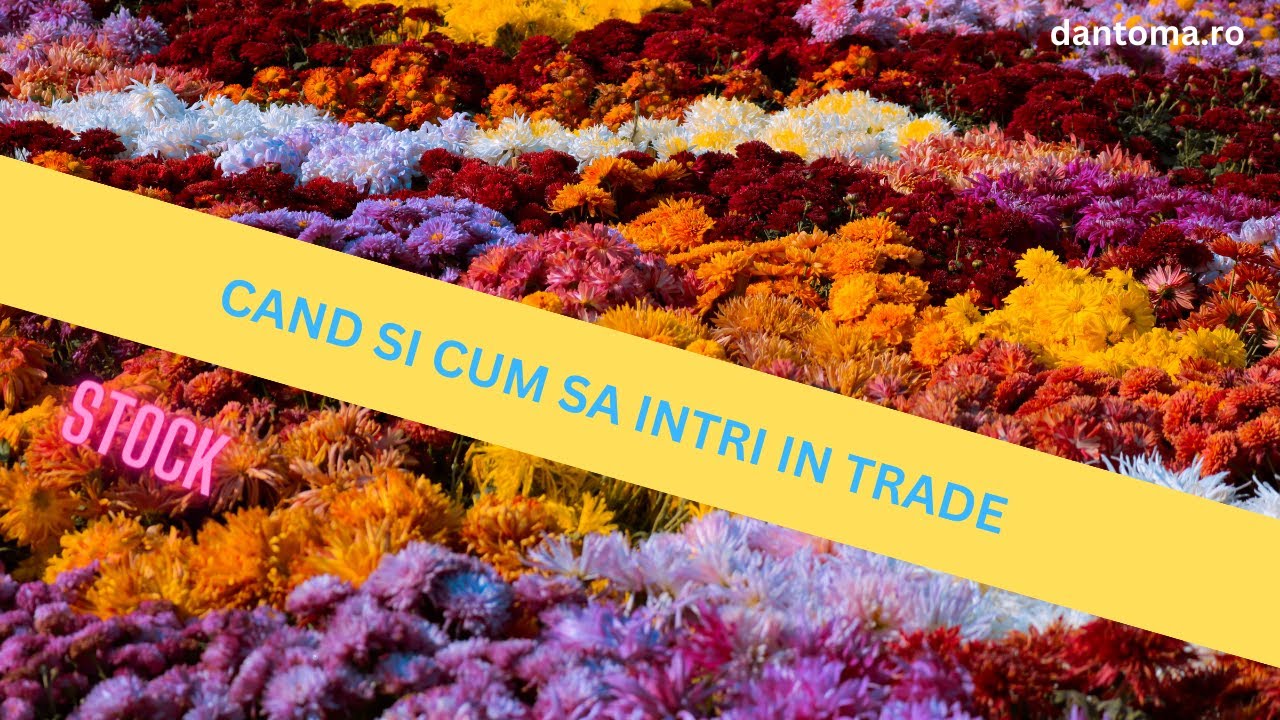 CAND SI CUM SE INTRA INTR-UN TRADE - YouTube