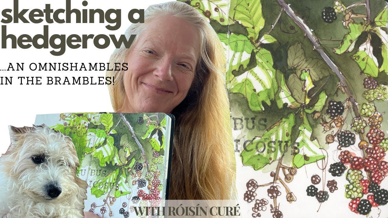 Sketching A Hedgerow...An Omnishambles In The Brambles! - YouTube