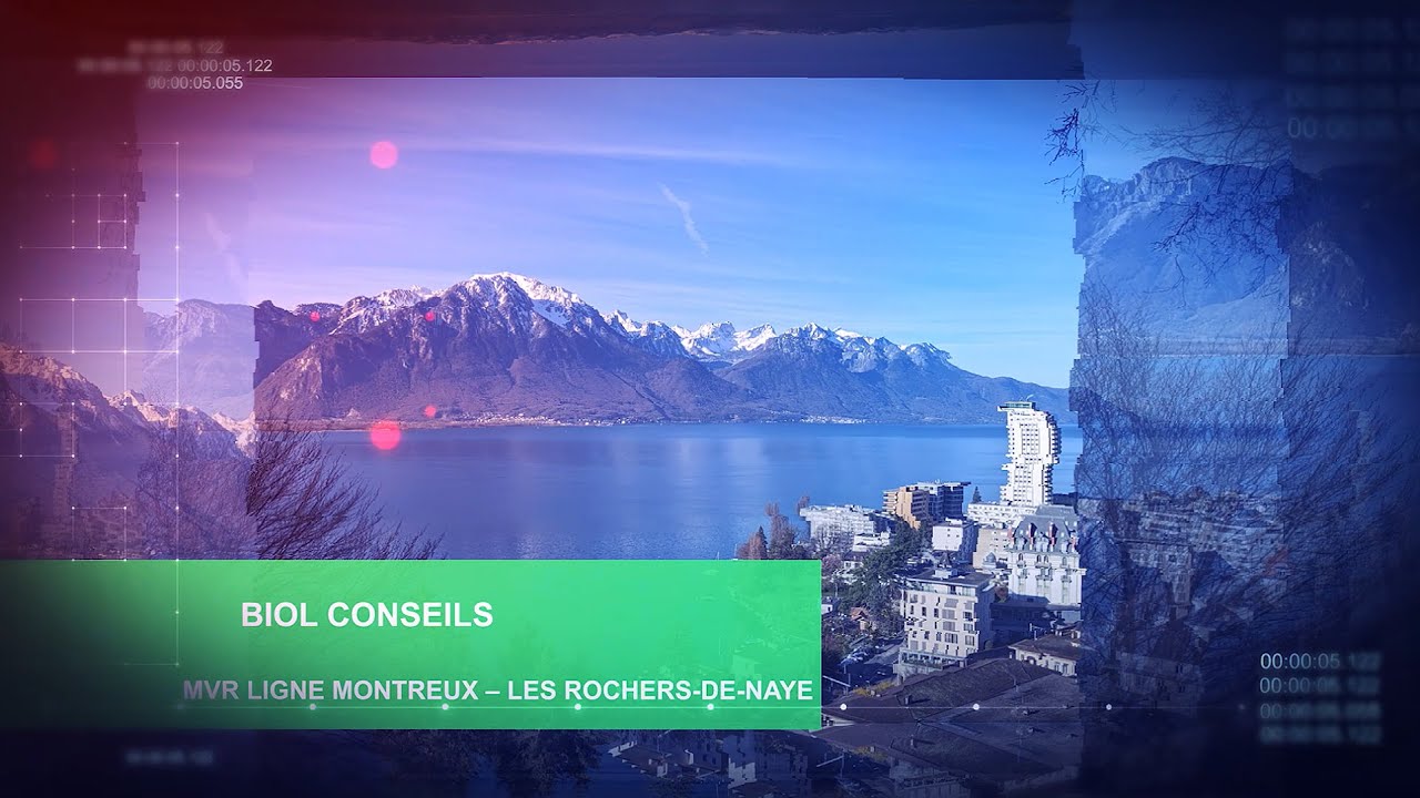 [VD - Suivi hydrogéologique de sondages sur des murs de soutènement ...