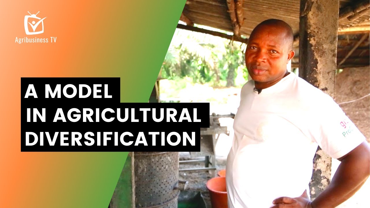 Benin: A model in agricultural diversification - YouTube