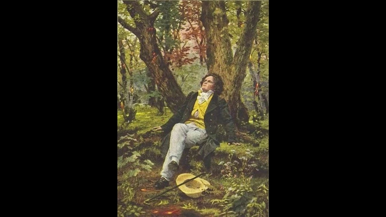 Beethoven Symphony Nº6 Pastoral (Pipe Organ Arrangement) - YouTube