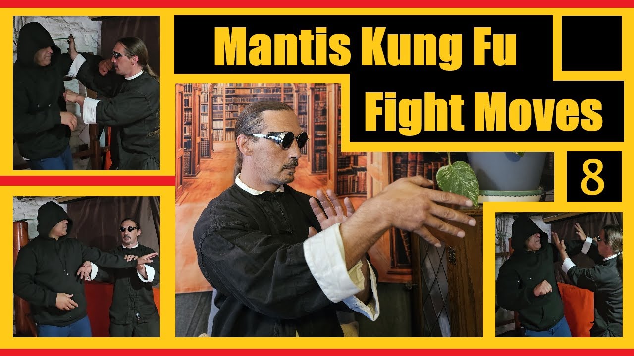 Mantis Kung Fu, Fight Moves 8 - YouTube