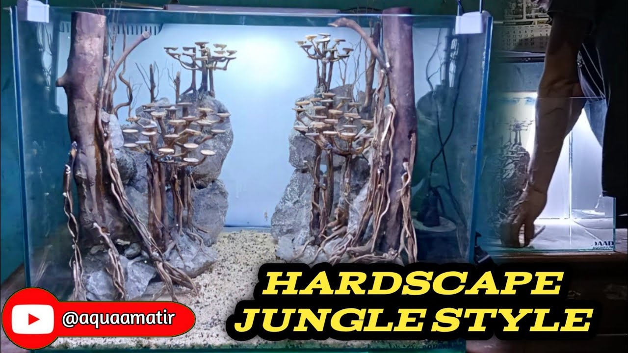 Hardscape tema jungle 🔥 #hardscape #aquascape - YouTube