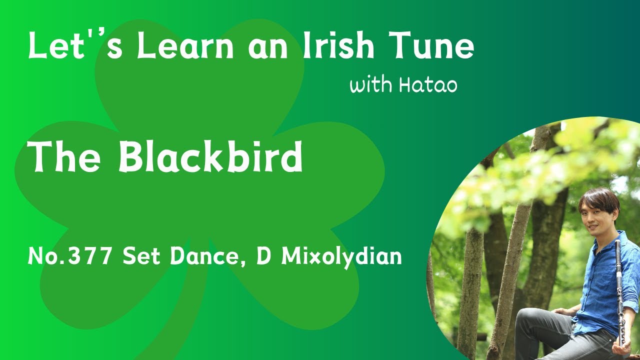 377 The Blackbird (Set Dance, D Mixolydian) - YouTube