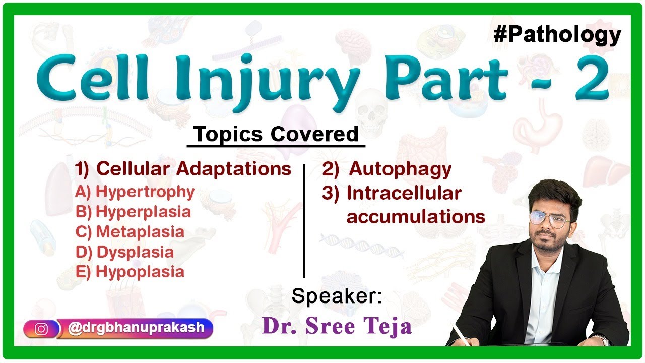 Cell Injury Part & Cell Adaptations Part 2 - General Pathology || Fmge ...