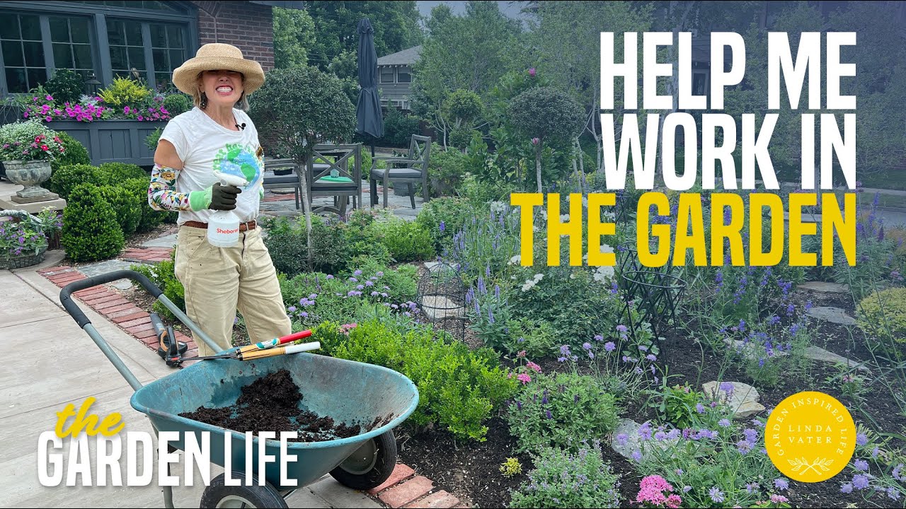 HELP Me Work In The Garden Please! - YouTube