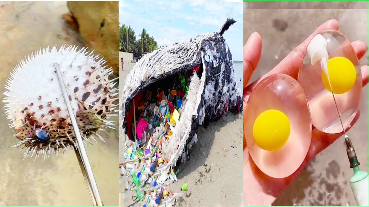 Catching Seafood 🦀🐙 ASMR Relaxing (Catch Shark , Catch Fish ,Deep Sea ...