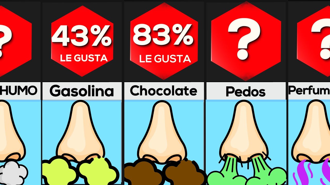 Comparación: olores favoritos - YouTube