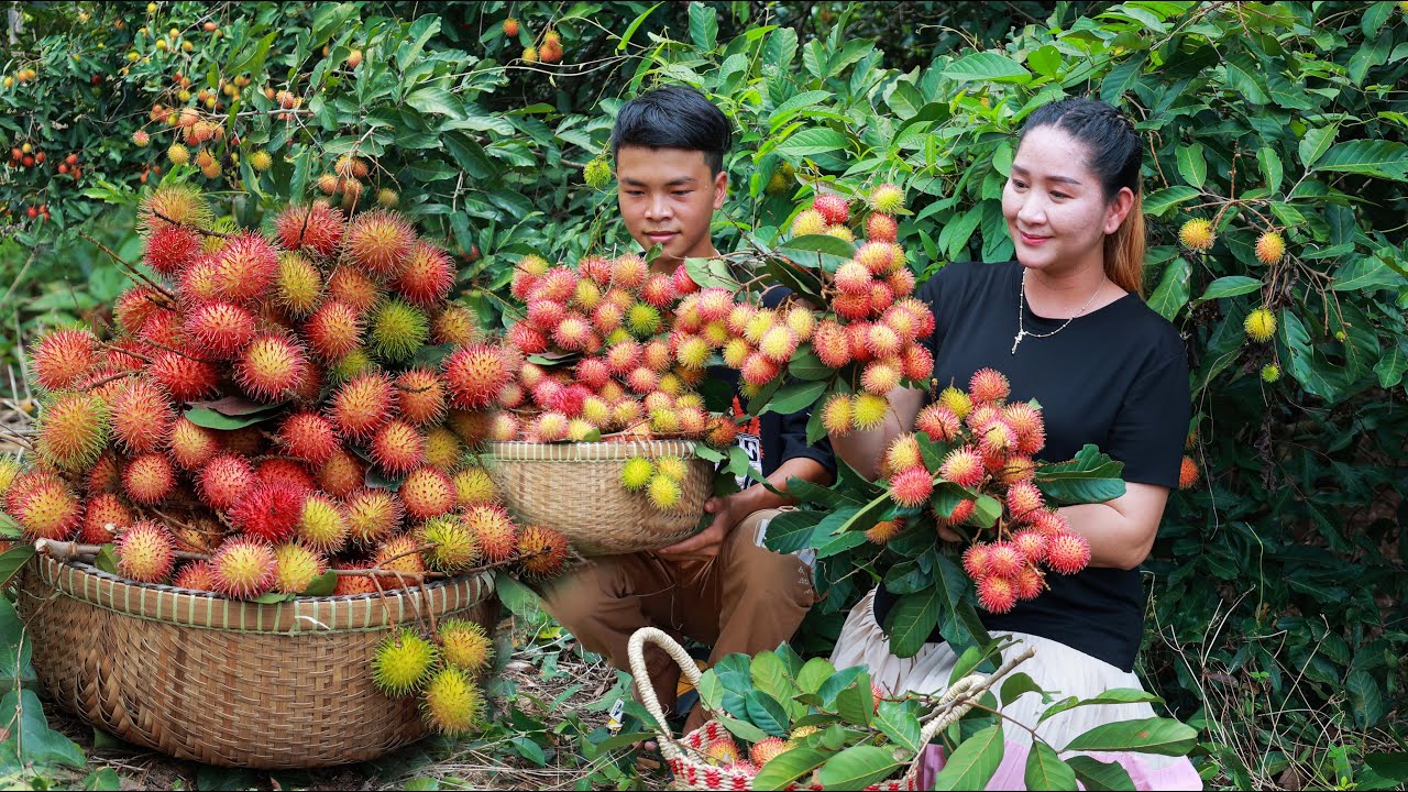 Rambutan season is coming in my country side - Cook Rambutan and share ...