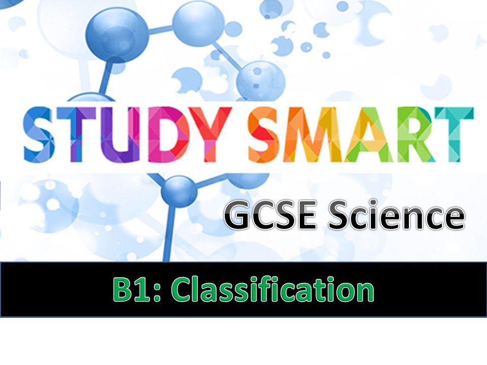 B1 Classification (EDEXCEL) - YouTube