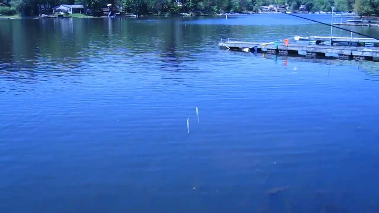 Double Fluke Rig / Donkey Rig / Tandem Rig Demo - YouTube