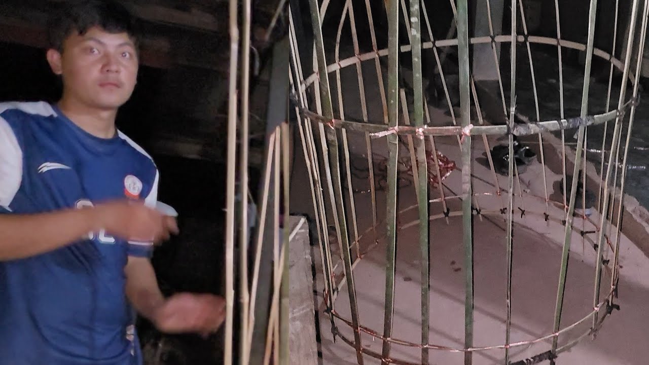 zeb xyaum fiab tawb khwb qaib os - YouTube