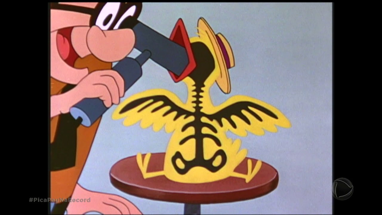 Turma do Pica-Pau - O pombo recruta (1956) HD - YouTube