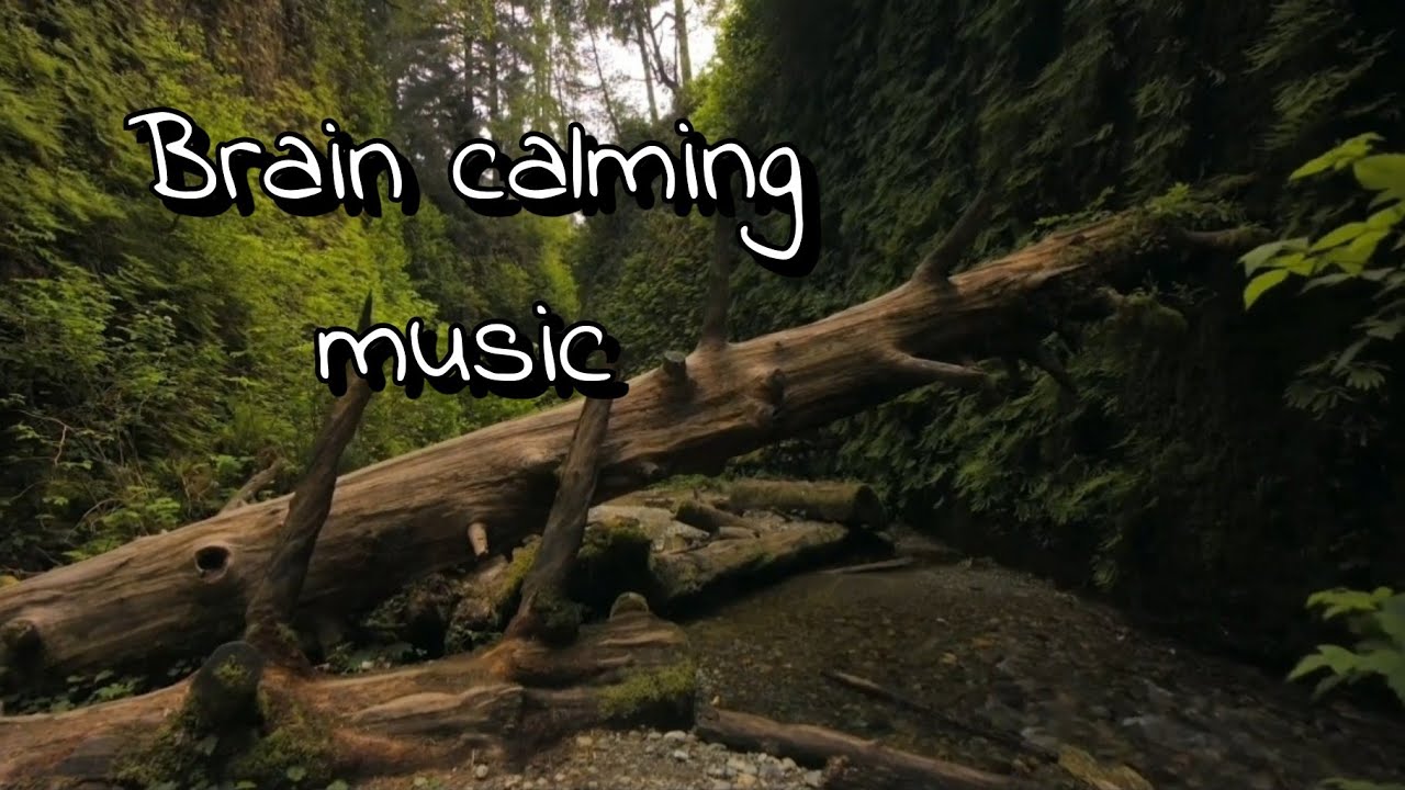 Brain calming music || Stress relief || Meditative mind || Feel better ...