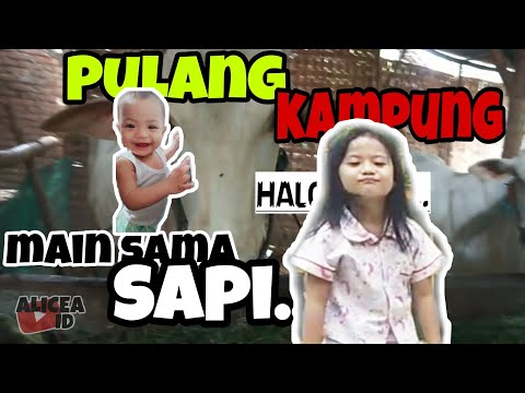 PULANG KAMPUNG SAMA ADEK DAN KAKAK SEPUPU Main sama SAPI| SERUUU ......