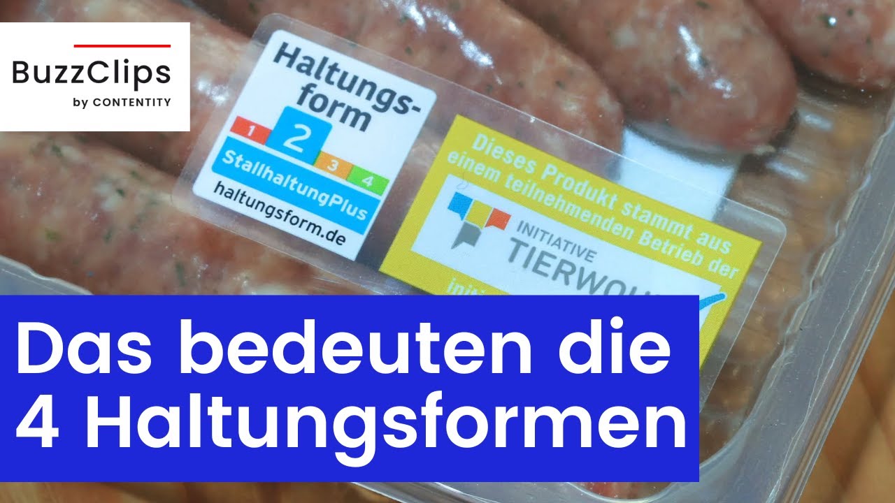 Tierwohl: Das bedeuten die vier Haltungsformen - YouTube