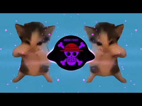 DJ KICAU KICAU KICAU MANIA SLOW VIRAL TIKTOK FULL SONG MAMAN FVNDY 2026 