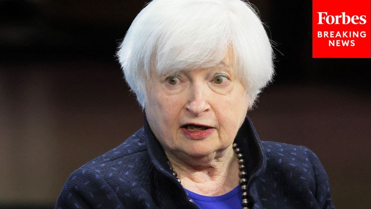White House Denies Speculation That Treasury Secretary Janet Yellen Is ...