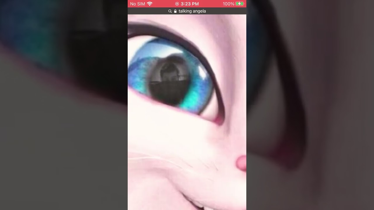 Kids are getting kidnapped from talking Angela and a 5 year old died ...