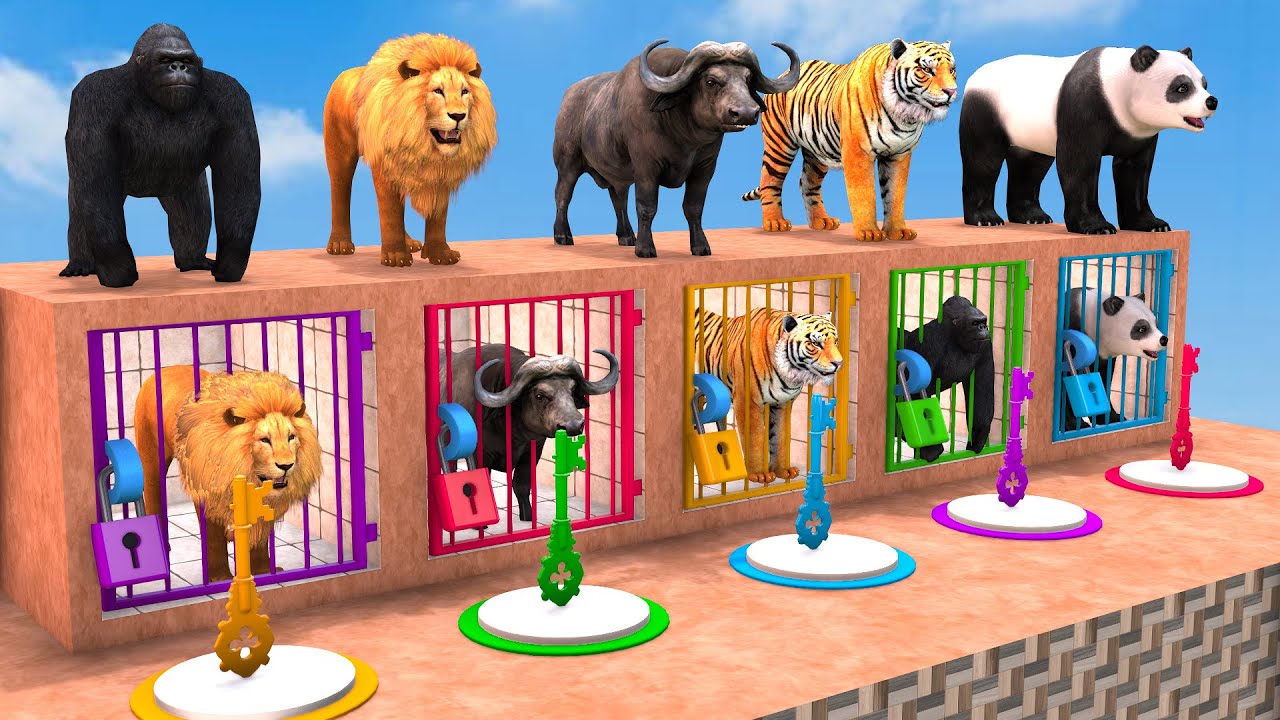 Let's Break the Wall with LONG SLIDE Elephant, Cow, Lion, Gorilla ...