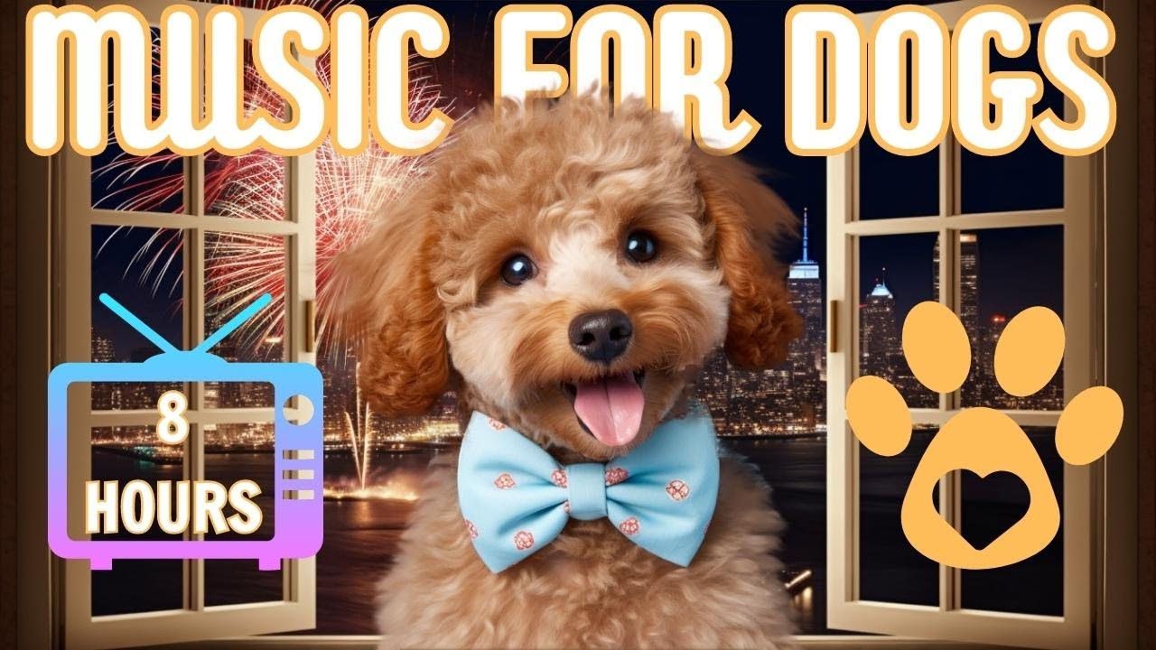 Dog Music: Therapeutic Therapy | 8 HOURS of The Best Anti-Anxiety Music ...