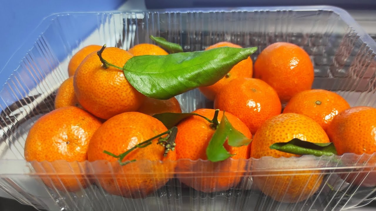 #small size oranges in china unbelievable size of oranges in china ...