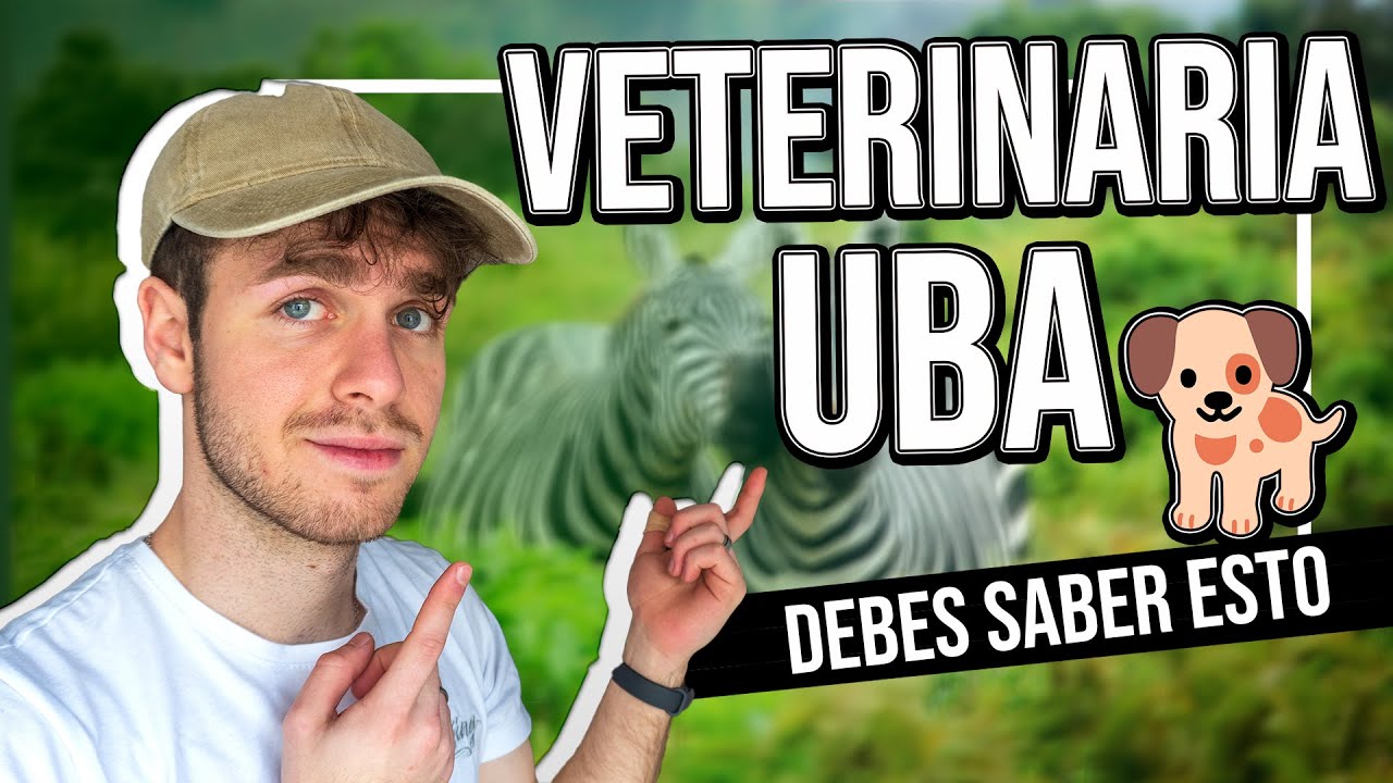 Estudiar VETERINARIA en la UBA ¿Cómo es? Todo lo que tenes que saber 📚 ...