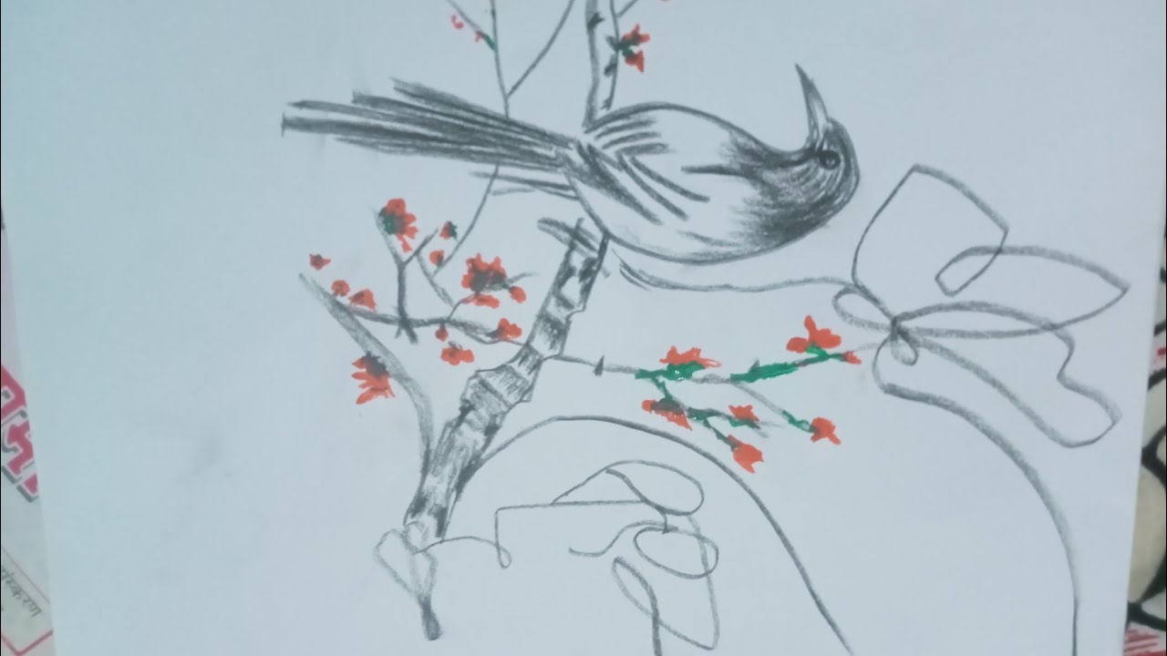 How to draw Bird scenery with pencil | step by step | Pencil Drawing ...