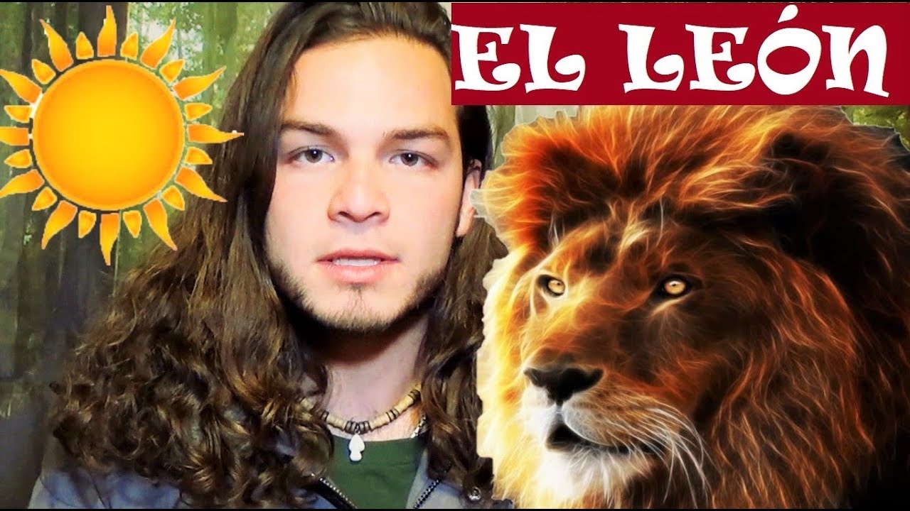 León animal de poder - YouTube