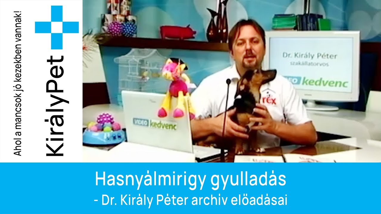 Hasnyálmirigy gyulladás - YouTube