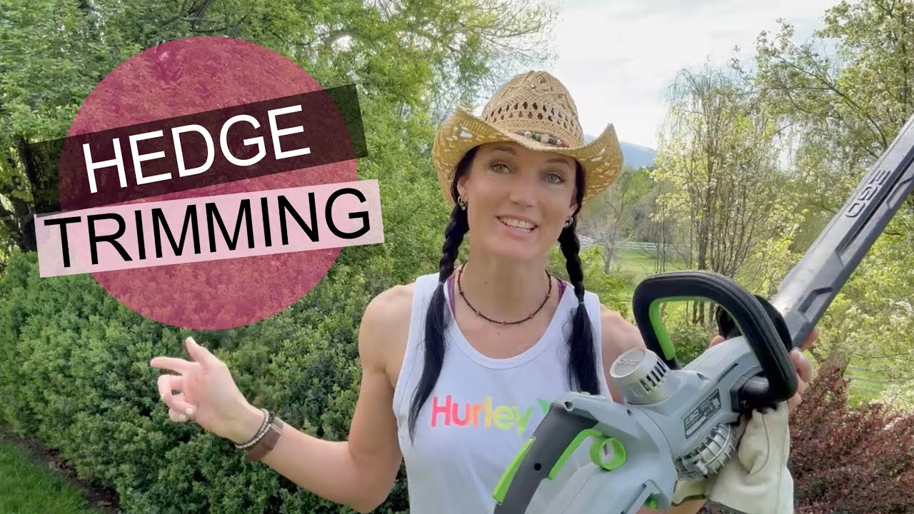 Hedge Trimming- How To- DIY - YouTube