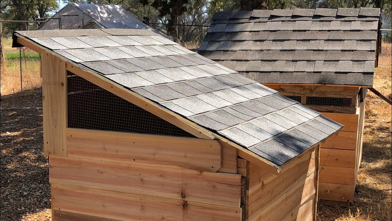 How to build Duck shelter aka Quack Shack 🦆 full build #diy #homestead ...