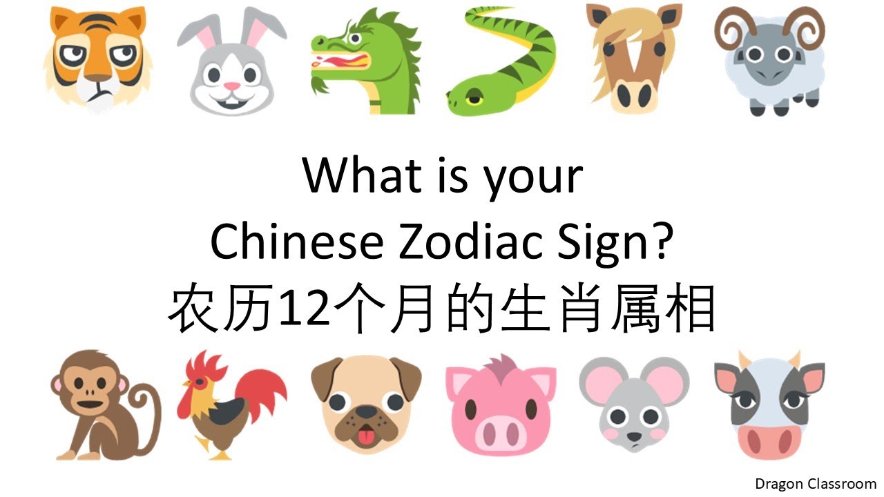 What is your Chinese Zodiac Sign? 12 Zodiac signs/animals. 农历12个月的生肖 ...