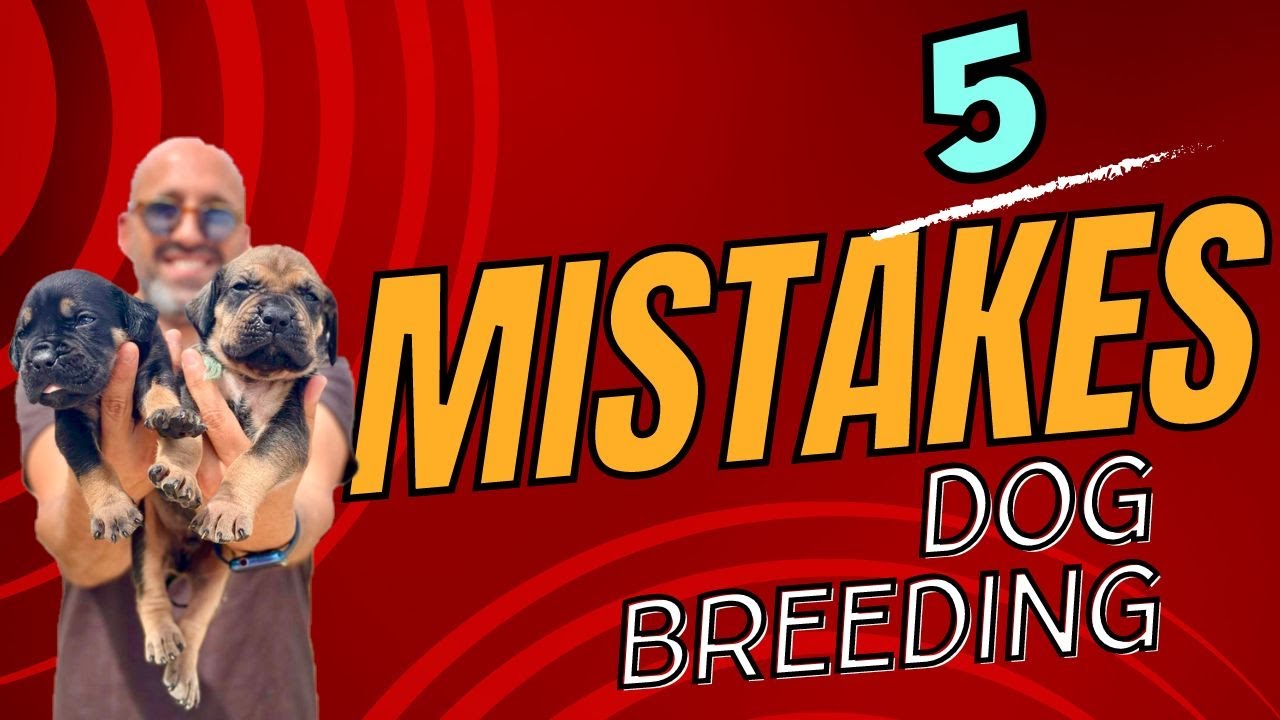 5 MISTAKES To Avoid When... ( Dog Breeding ) - YouTube
