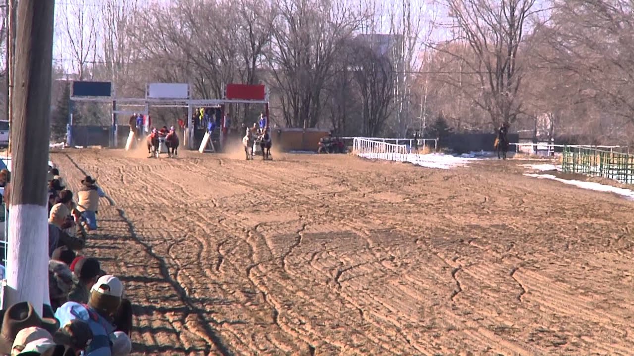 Young Gunz Chariot Racing #7 - YouTube