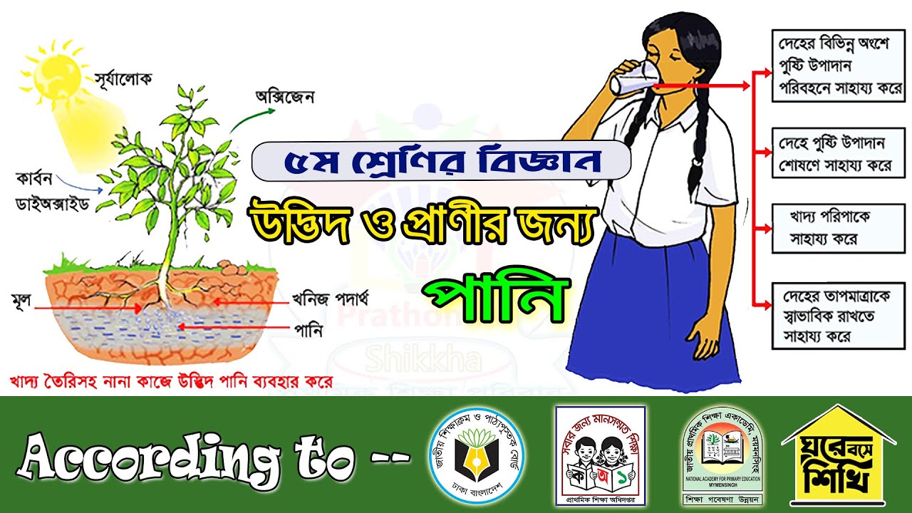 Class 5 Science Chapter 3 | ৫ম শ্রেণির বিজ্ঞান অধ্যায় ৩ - YouTube