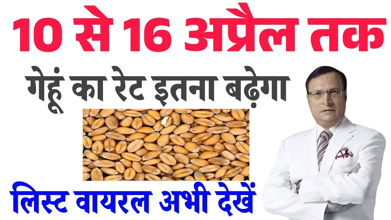 गेहूं मंडी ताजा भाव| गेहूं किसानों को कृषि मंत्री का तोहफा खुशखबरी|Anaj ...