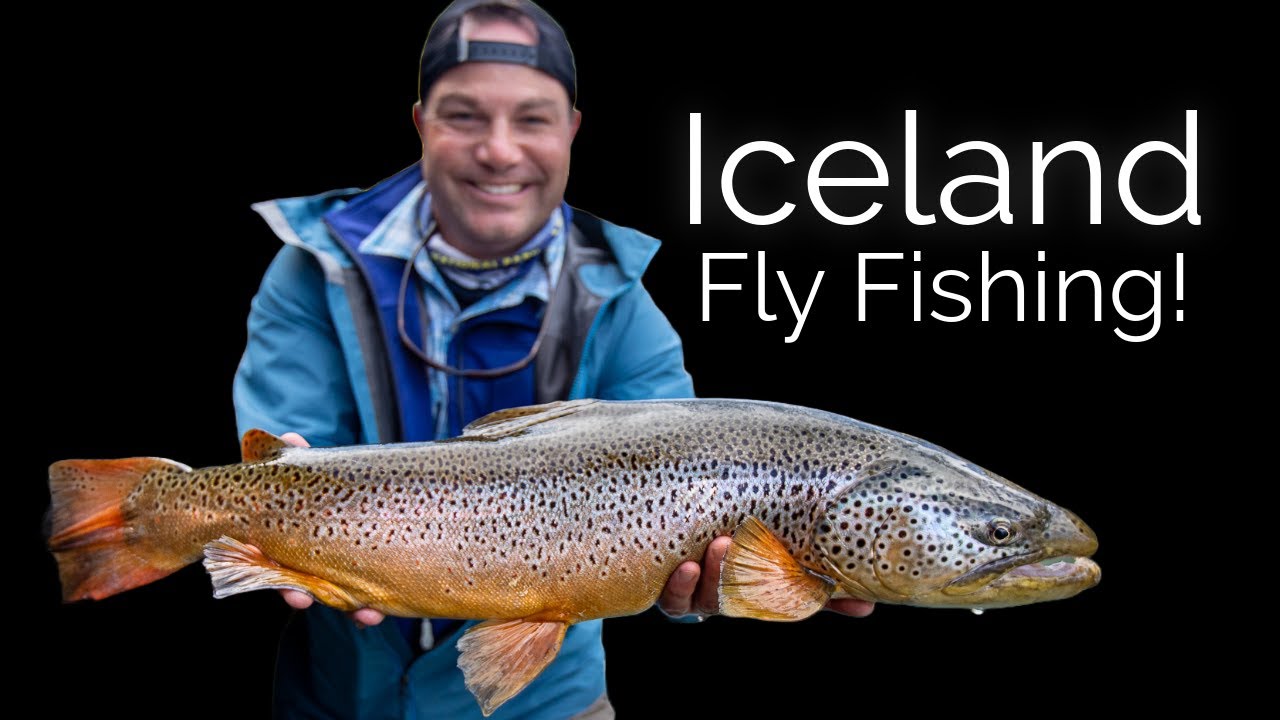 Fly Fishing Iceland: Where to Go & What to Catch! - YouTube