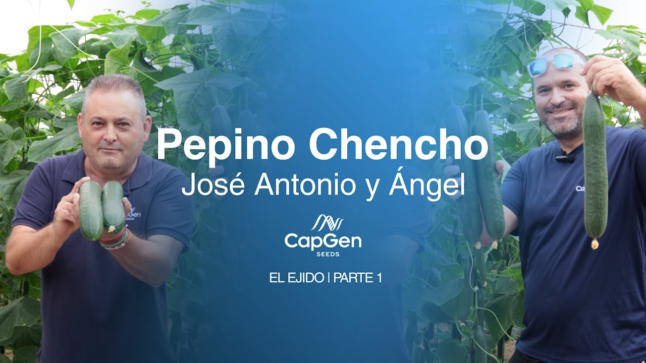 Pepino Holandés Chencho con el agricultor Ángel López | Parte 1 con ...