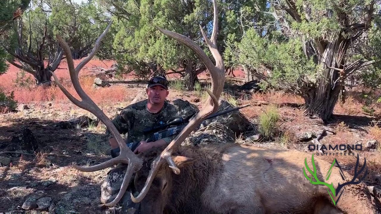 Sept Bull Elk in Arizona, 2019 - YouTube