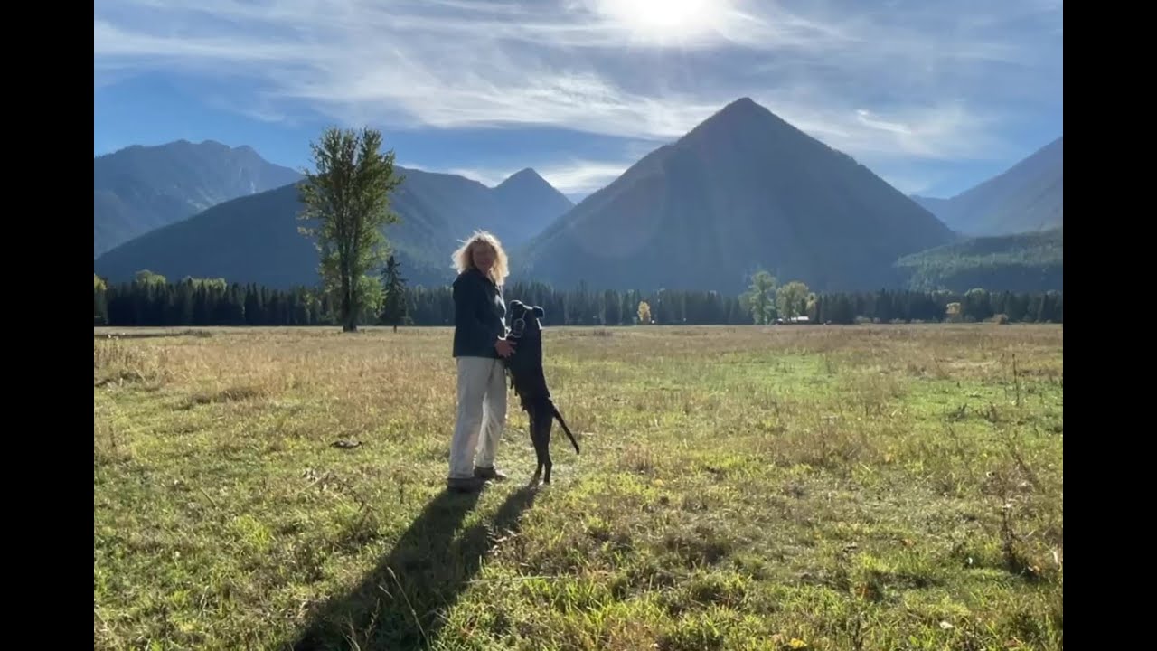 Great Spirit - Boxers von Bachbett - YouTube