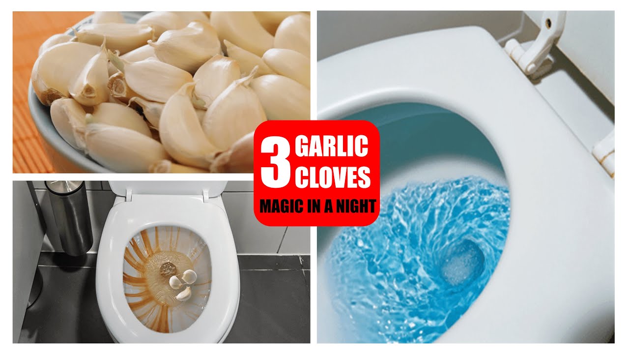 Uses of Garlic| The Benefits of Putting Garlic in Toilet?!! - YouTube